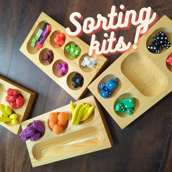 Sorting Builds Vocabulary and Discovery | Montessori-n-Such