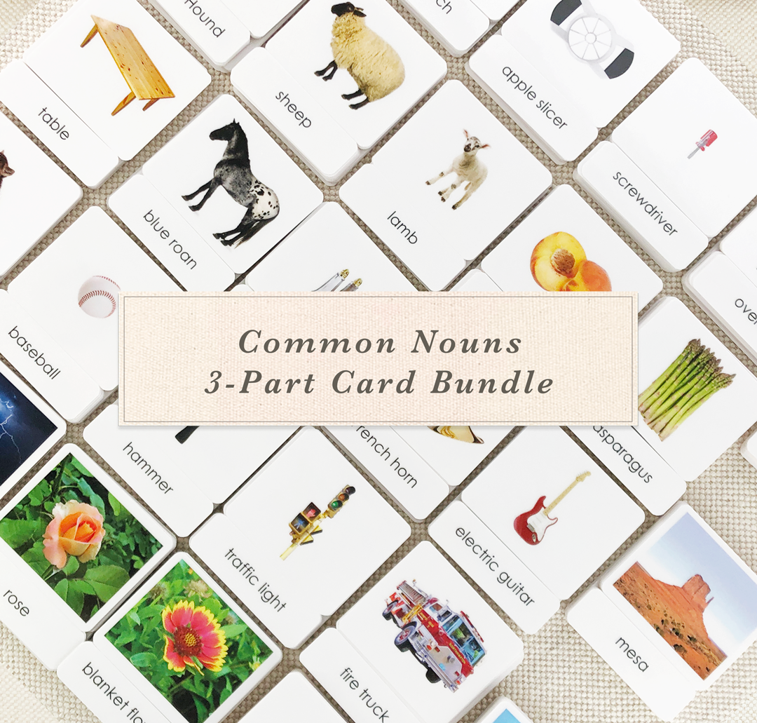Common Nouns 3-Part Card Bundles by Maitri | Montessori-n-Such
