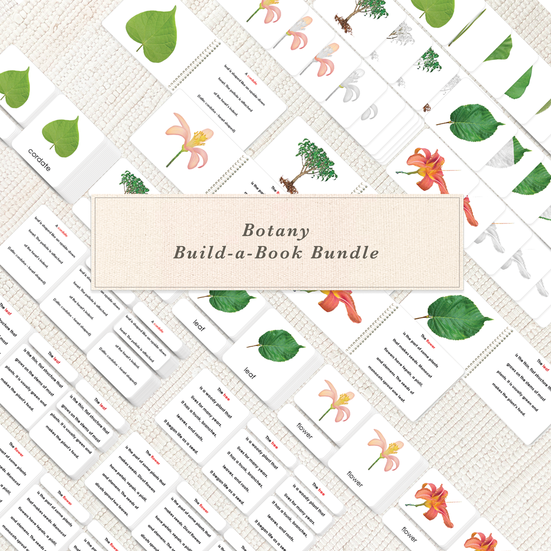 Botany Build-a-Book Bundle by Maitri | Montessori-n-Such