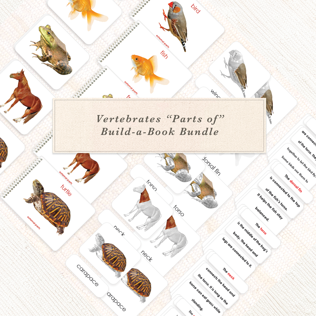 Vertebrates "Parts of" Book & Card Bundle by Maitri | Montessori-n-Such