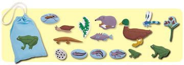 3-D Felt Pond Life Life Cycle & Habitat | Montessori-n-Such