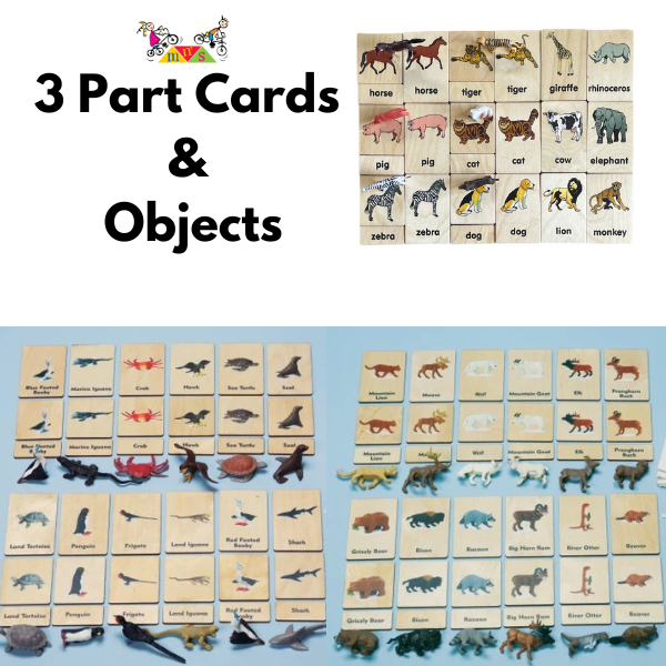 Inspire Learning With Wooden Three Part Cards! | Montessori-n-Such