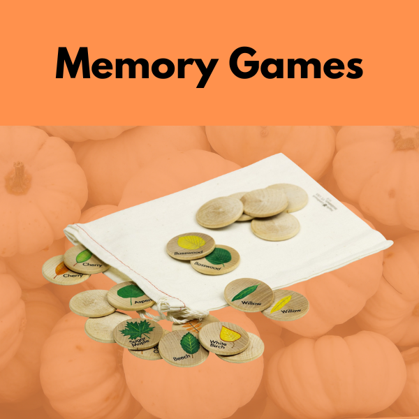 Grab a Friend for Some Fun Memory Games! | Montessori-n-Such
