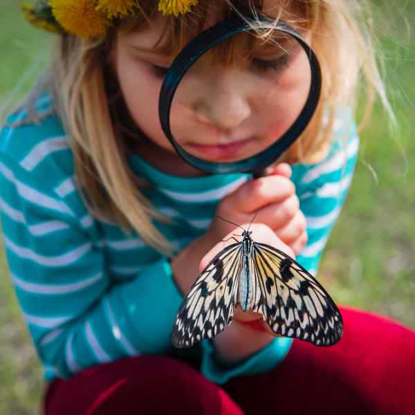 Exploring Animal Life Cycles | Montessori-n-Such
