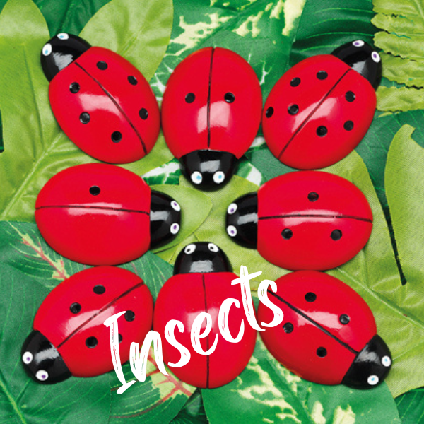 Bring Spring Into the Classroom With Insect Lessons Email | Montessori ...