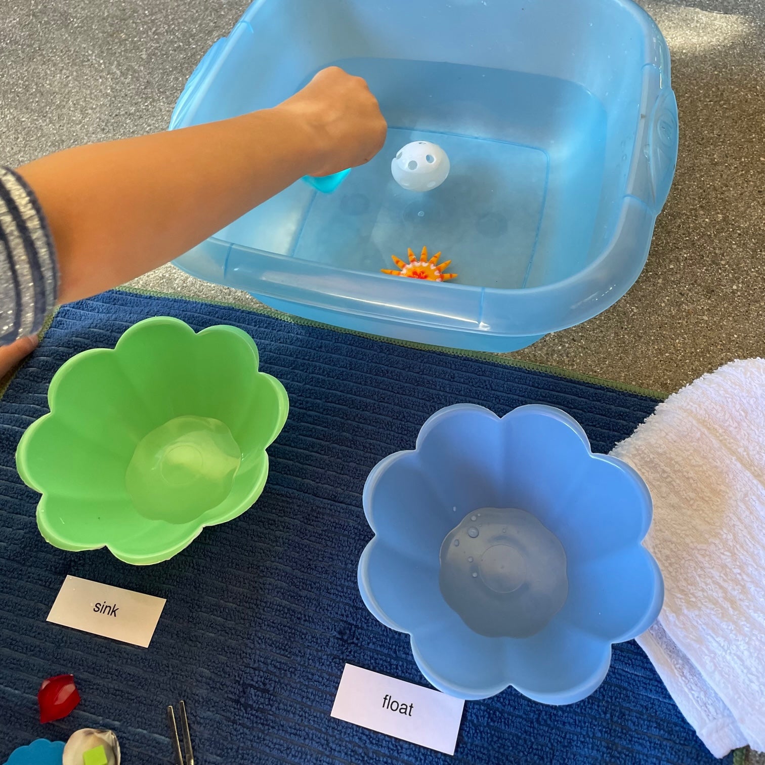 Sink or Float Classroom Kit with Labels | Montessori-n-Such