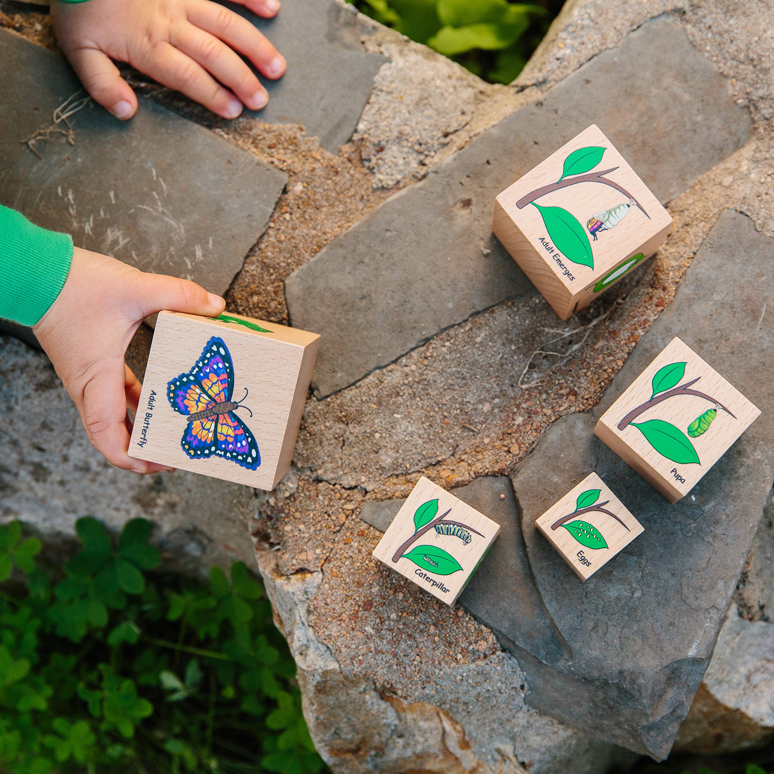 Life Cycle Wooden Blocks | Montessori-n-Such