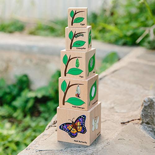 Life Cycle Wooden Blocks | Montessori-n-Such