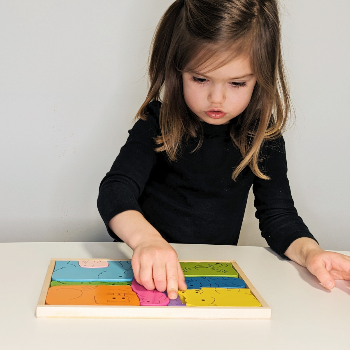 Toddler Animal Mania Wooden Puzzle Set | Montessori-n-Such