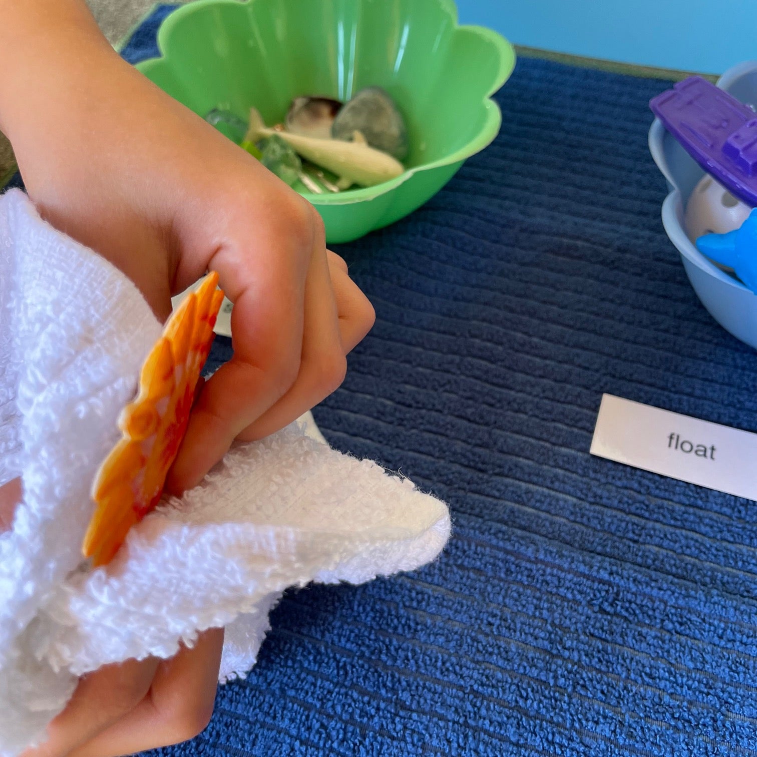 Sink or Float Classroom Kit with Labels | Montessori-n-Such