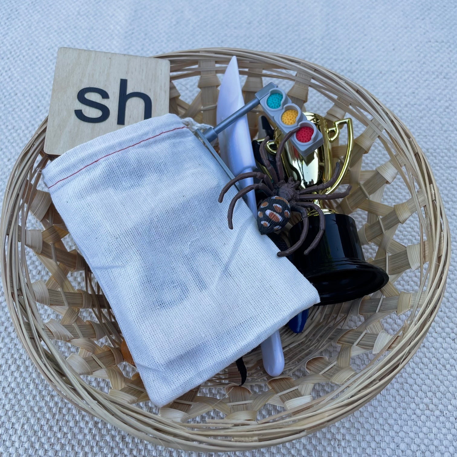 Bag Full of Blends & Digraphs Objects Kit (sh, sn, sp, st, tr) -With W ...